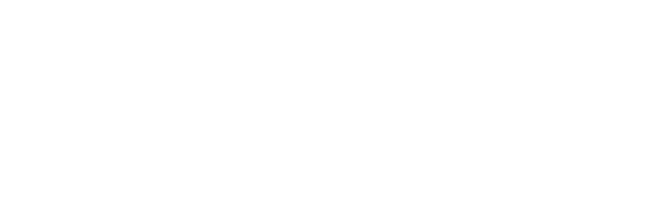 Wizard Chile | Curso Intensivo